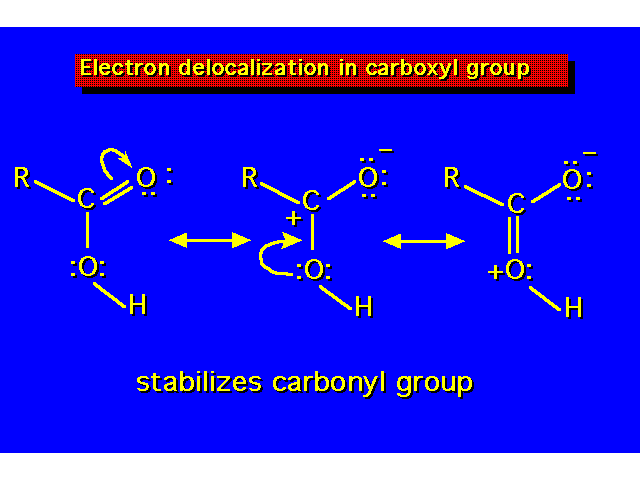 Carboxylic Acids