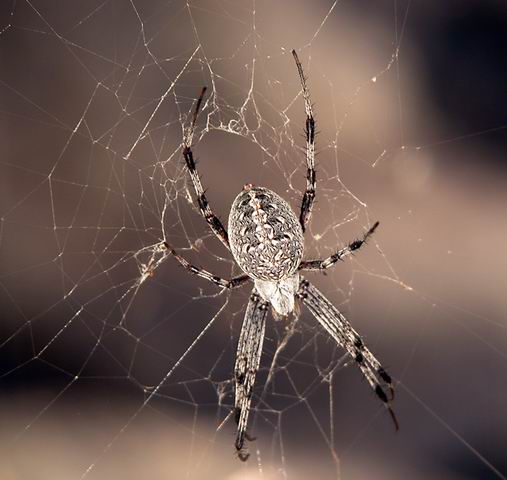 Untitled Document [people.wou.edu]