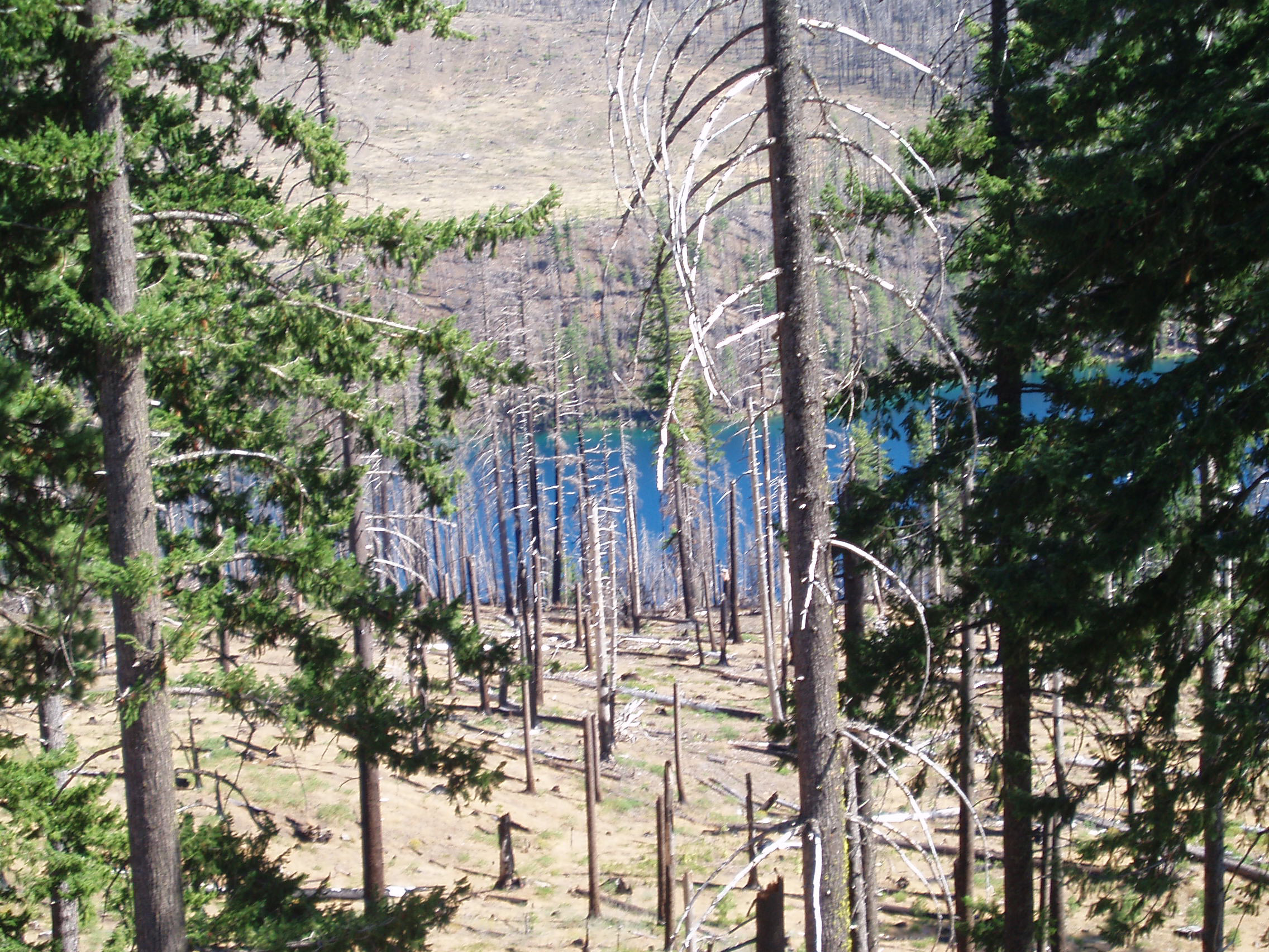 gs407/507 River Environments of Oregon